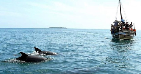 Excursions Departing Mombasa – Tropical Cats Tours